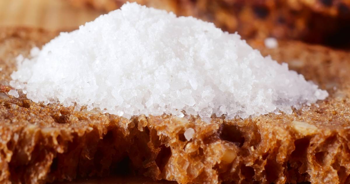 Har du fået salt nok i dag? - Jyllands-Posten