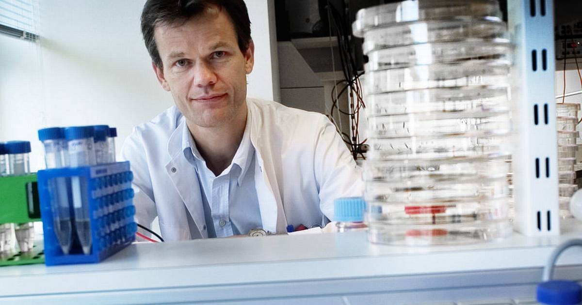 Danmark mangler gode rugekasser til biotek - Finans
