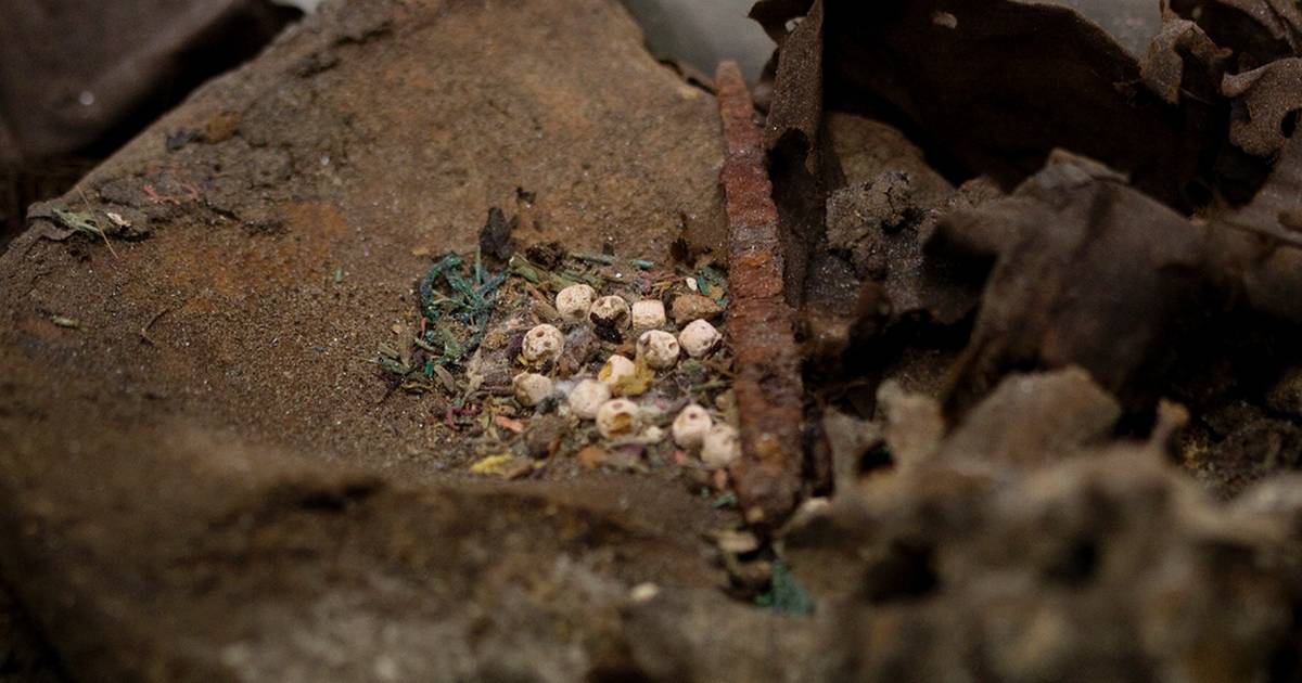 Tycho Brahe-forsker: Rart at få vished