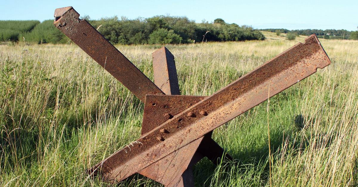 Militæret åbner naturens godtepose - Jyllands-Posten