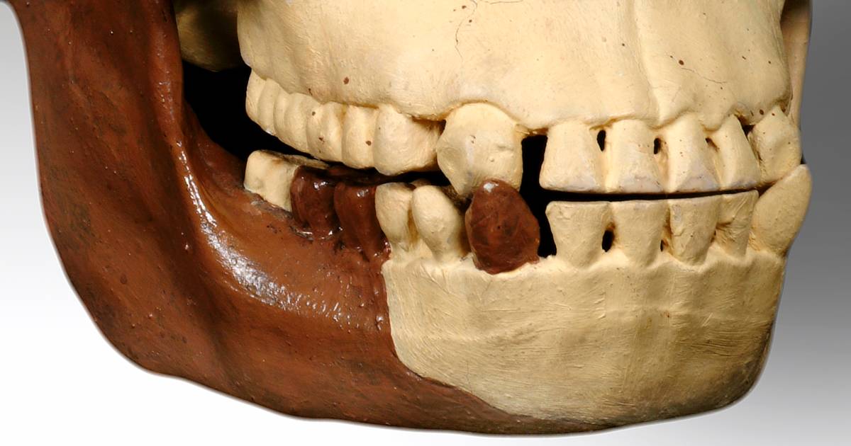 Svindler tog verden ved næsen i 40 år - Jyllands-Posten