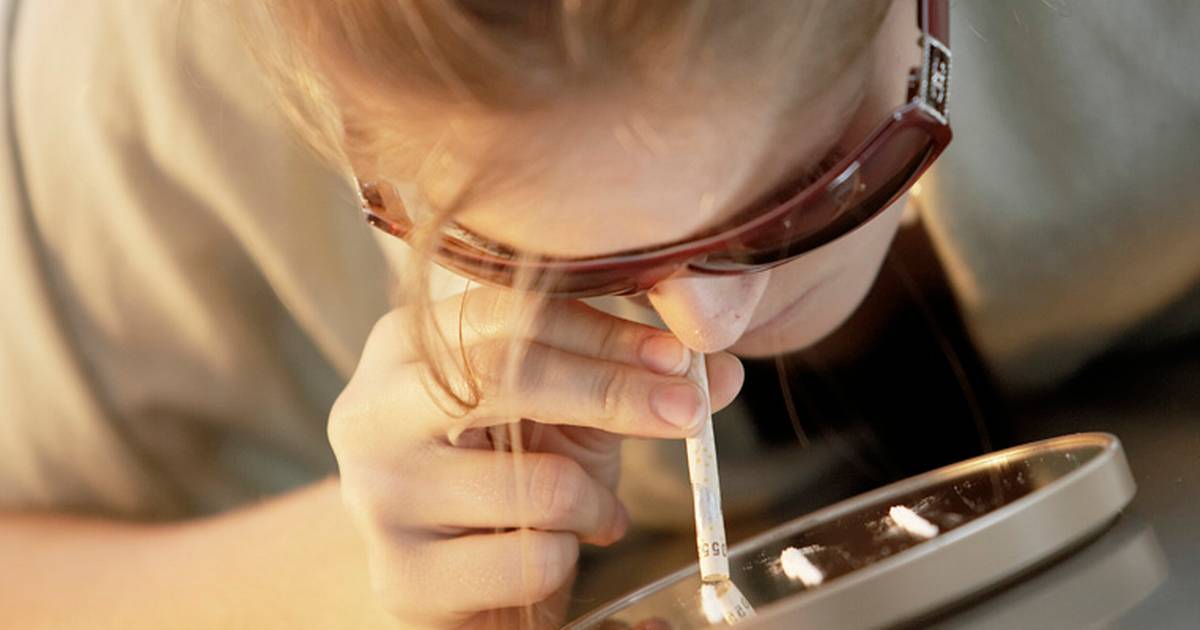 Når det bliver en vane at sniffe en bane - Jyllands-Posten