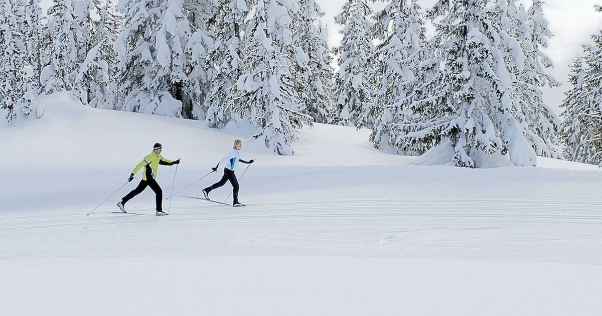 Langrend er blevet et hit - Jyllands-Posten