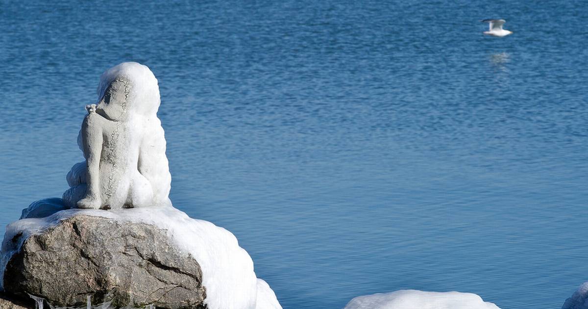 Hvilken skæbne venter havfrue-kopi? - Jyllands-Posten