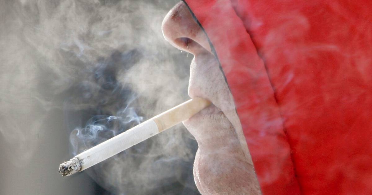 Forskere: Derfor lever nogle rygere lange og gode liv - Jyllands-Posten