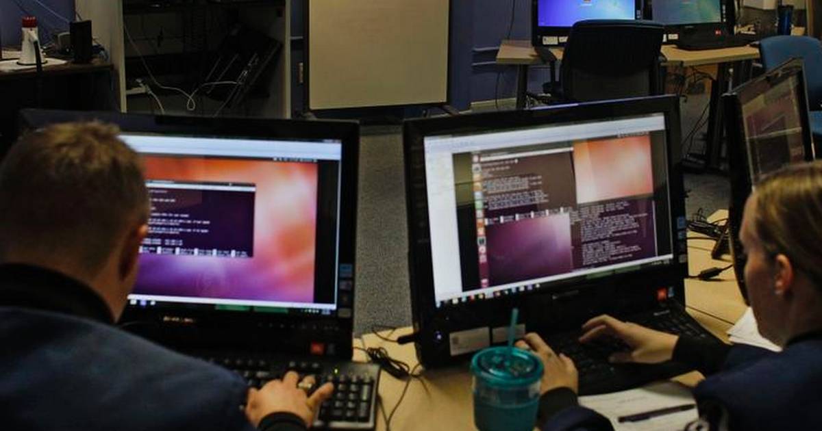 Autister skal finde fejl i softwaren - Jyllands-Posten