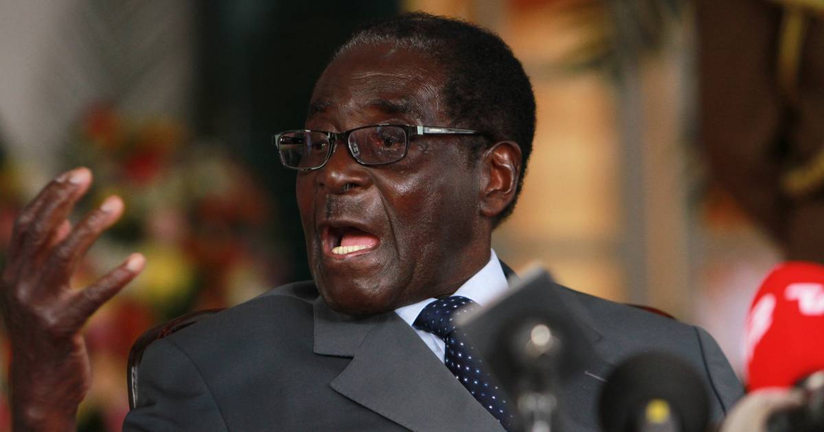 Elefanter slagtes til ære for Robert Mugabes fødselsdag