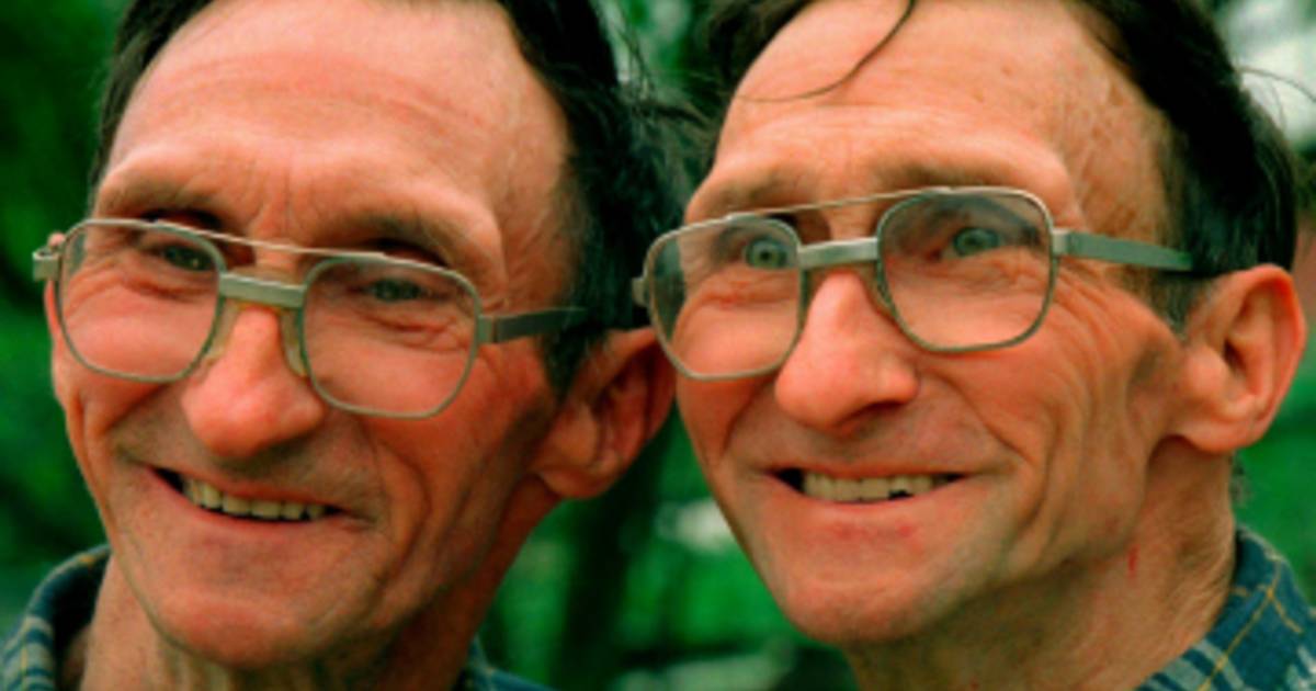 21. Arv – Mendel og arvelighedslovene