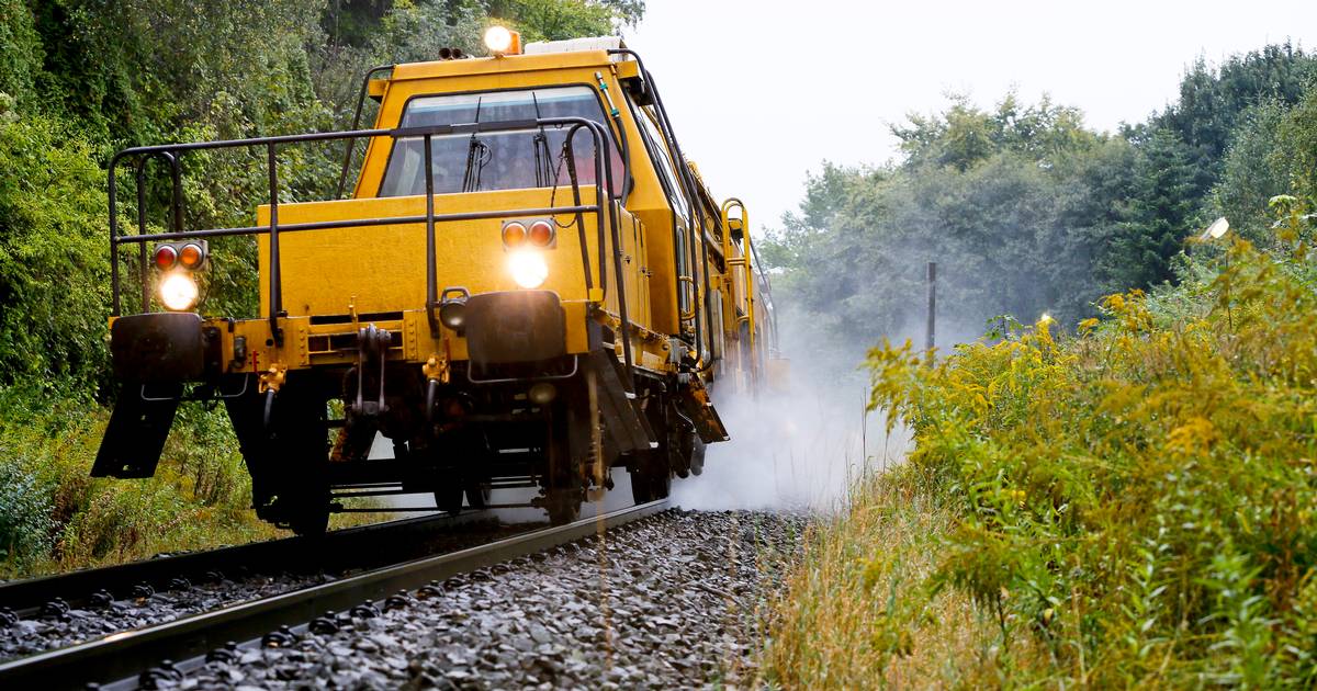 Togene skrider i efterårsfænomen