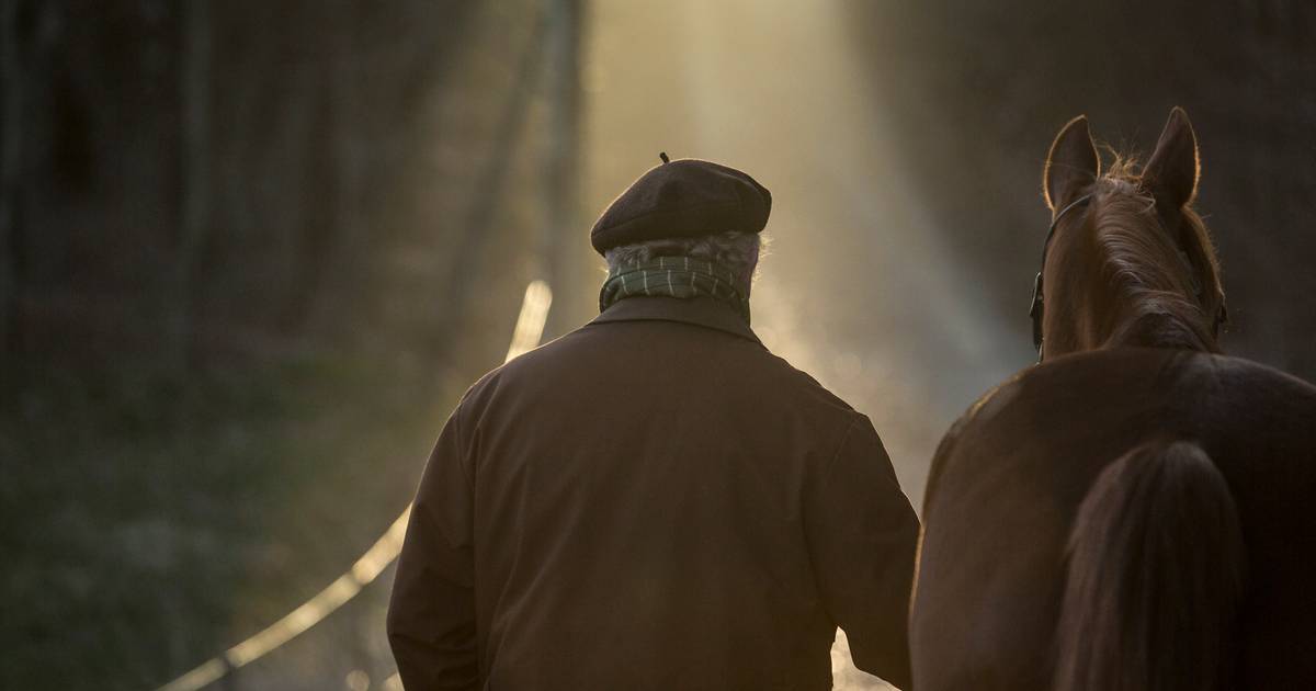 Taroks røde løber var lavet af grønt græs