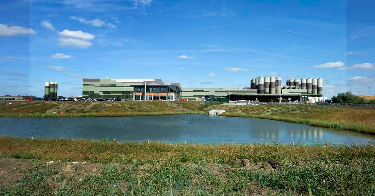 Arla åbner verdens største mejeri - Jyllands-Posten
