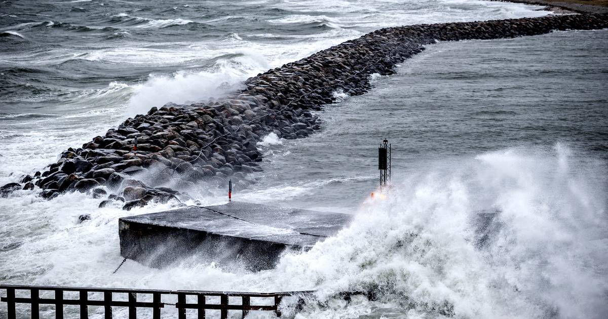 Navneleg: Så mange hedder Bodil Storm - Jyllands-Posten