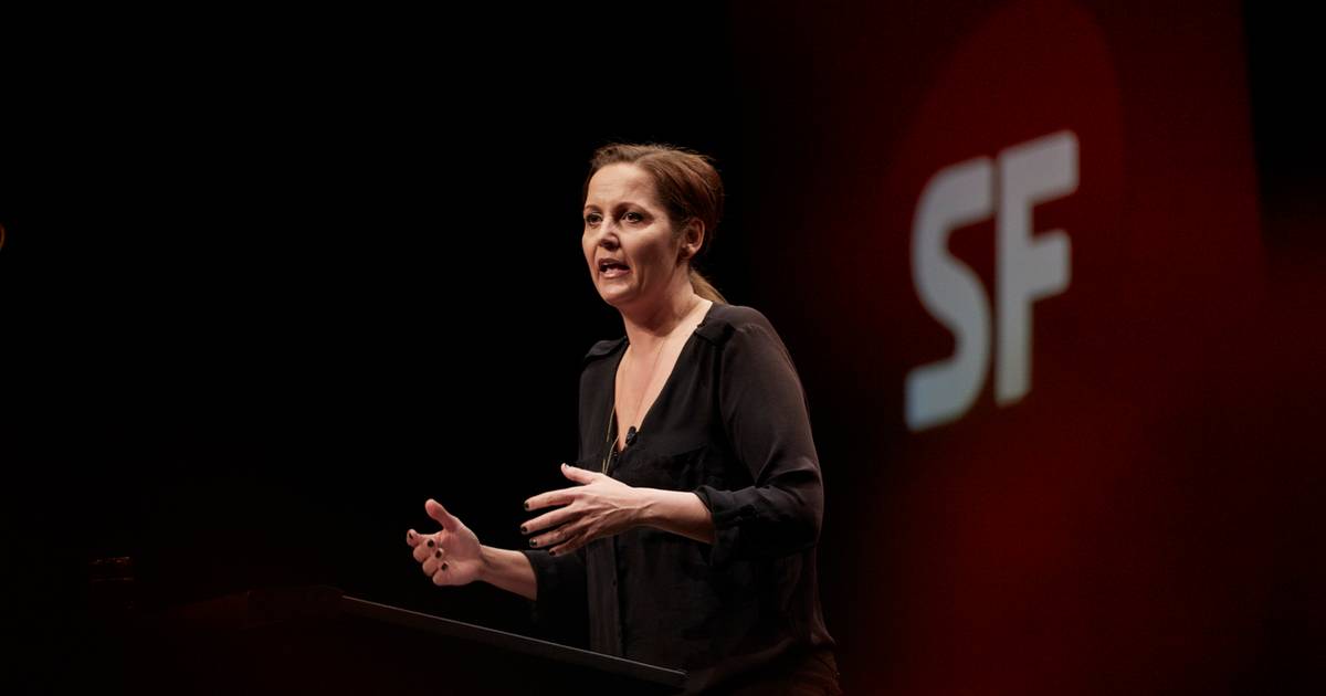 SF-formand skælder ud på sine tidligere ministervenner