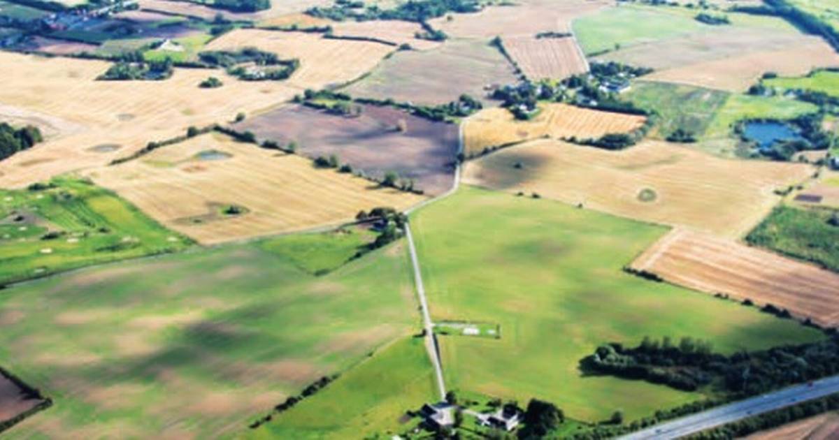 Danmarks største skov i 100 år rejses i lyntempo - Jyllands-Posten