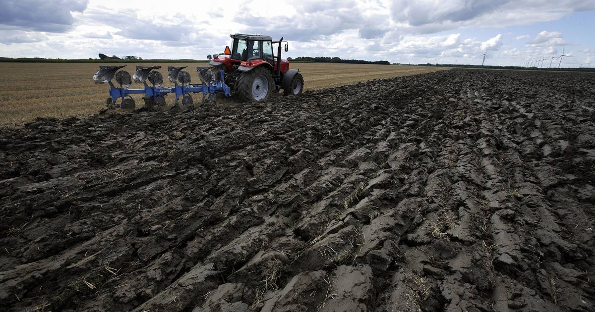 Landbruget tager afstand fra dansk svindel med EU-midler - Jyllands-Posten