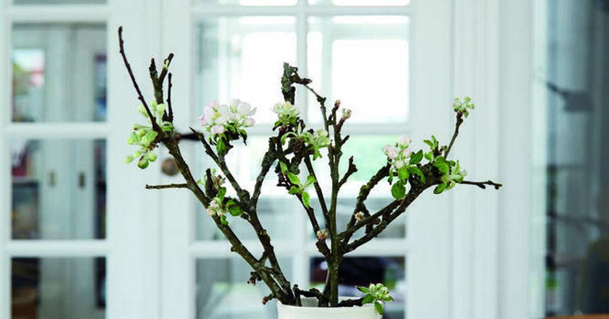 Kählervaser sælges til groteske priser