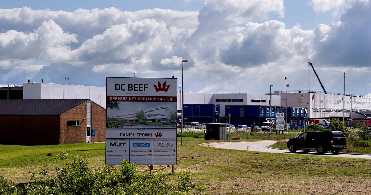 Slagteri er under mistanke for mund- og klovsyge - Finans