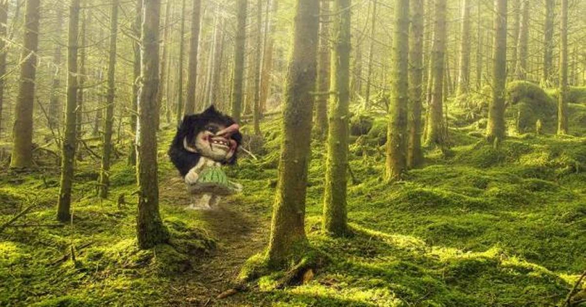 Derfor er Krølle Bølle-forskning vigtig - Jyllands-Posten