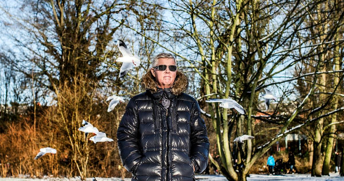 Stress, tsunami, bryllup og selvmord