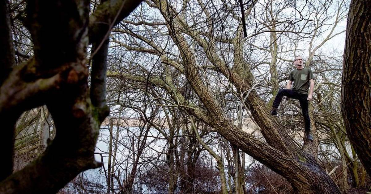 »Jeg har aldrig lavet smukke billeder«