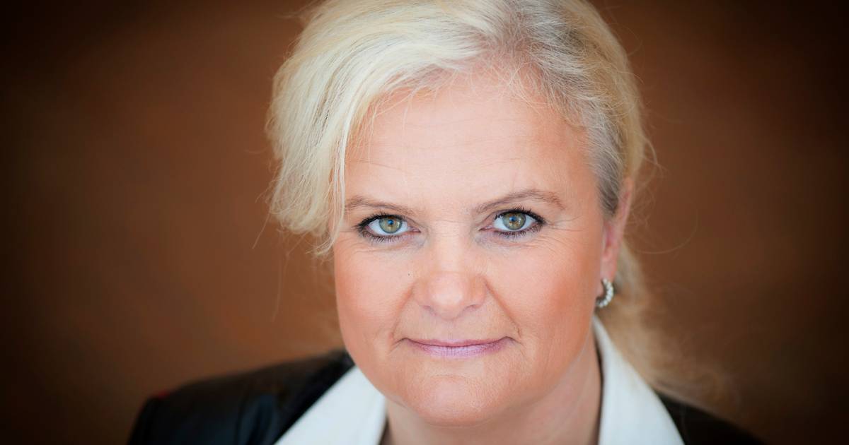 DF’er: En mand med en brækket arm bliver ikke rask af at se på kunst
