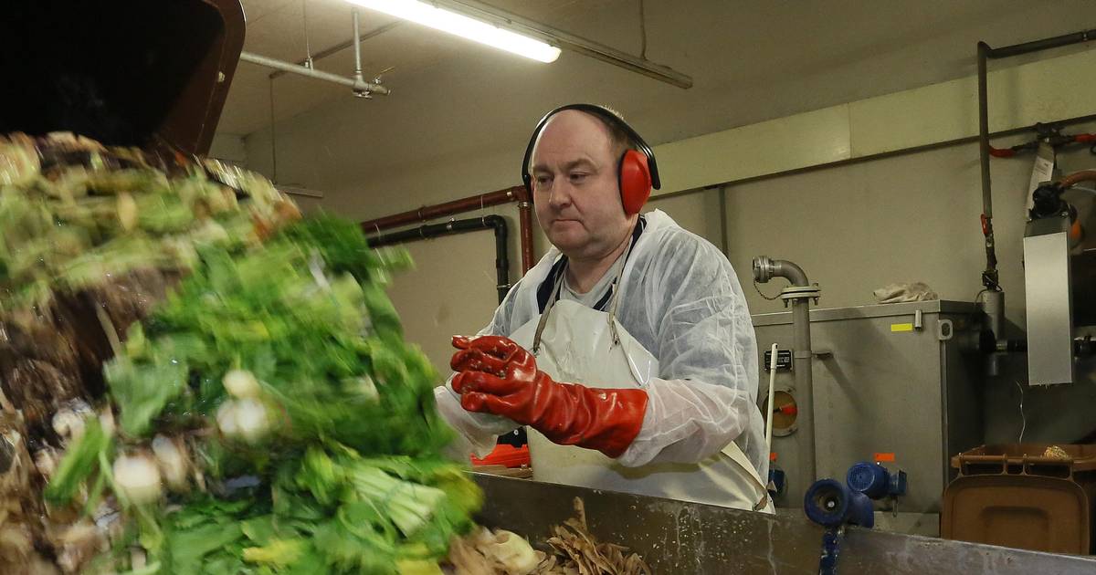 En tredjedel af verdens mad ender som skrald – hvordan stopper vi ...