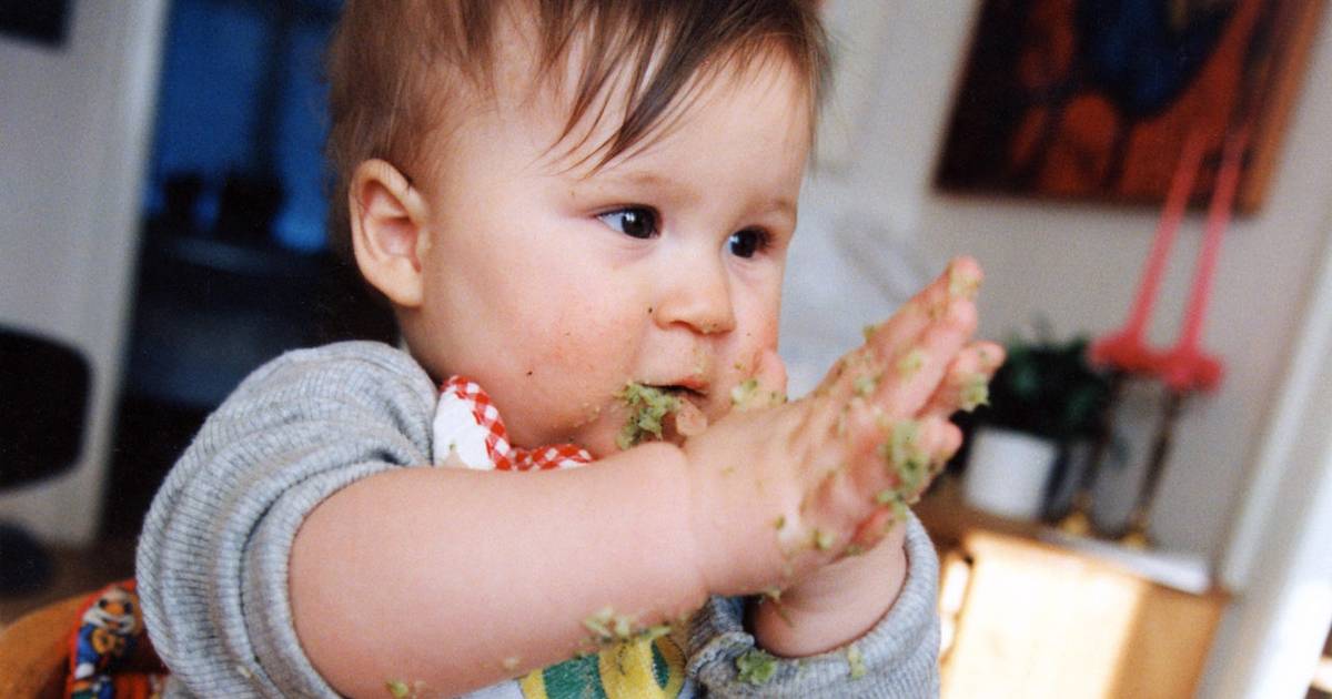 Professor: Derfor skal du ikke made dit barn med en ske - Jyllands-Posten