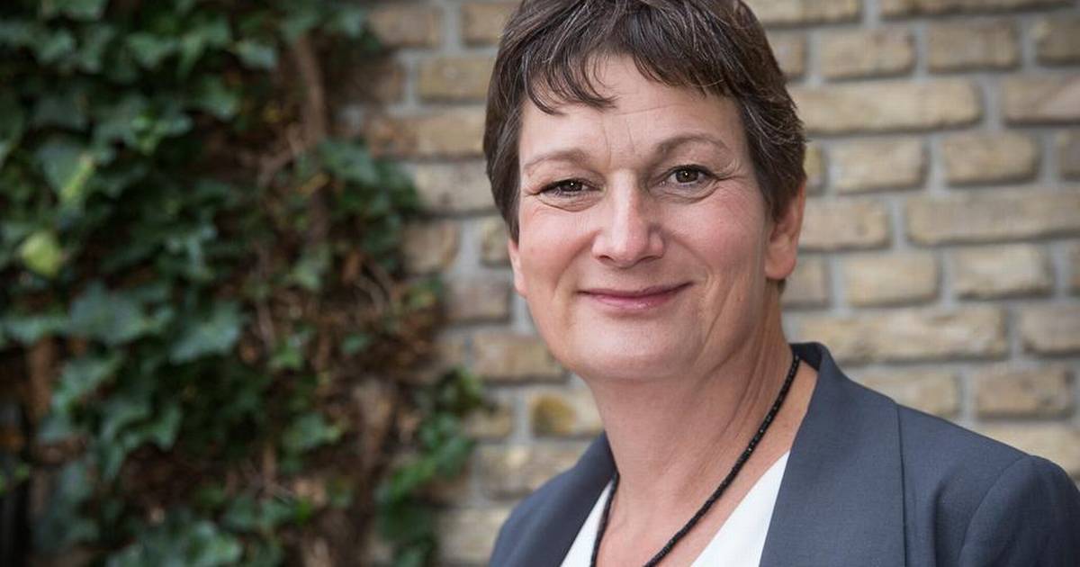 Nu skal ærmerne smøges op