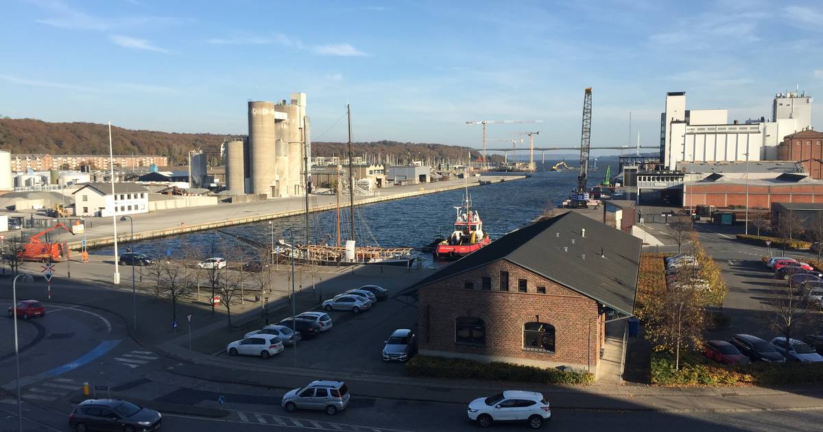 Partiet med flest medlemmer af havnebestyrelse udsatte kritisk debat om ...