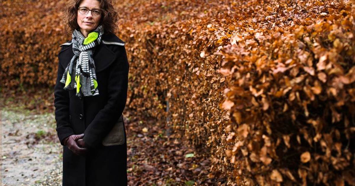 Stofskiftepatienter tager til udlandet for at få behandling og medicin ...