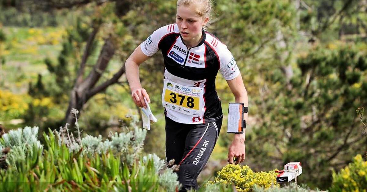 »Jeg bliver altid lidt bange for elge. De er virkelig store«