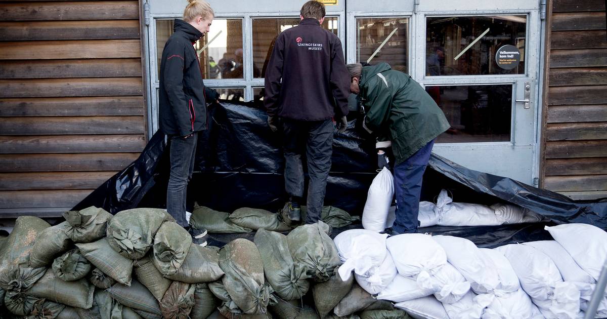 Direktør på Vikingeskibsmuseet ånder lettet op efter Urd - Finans