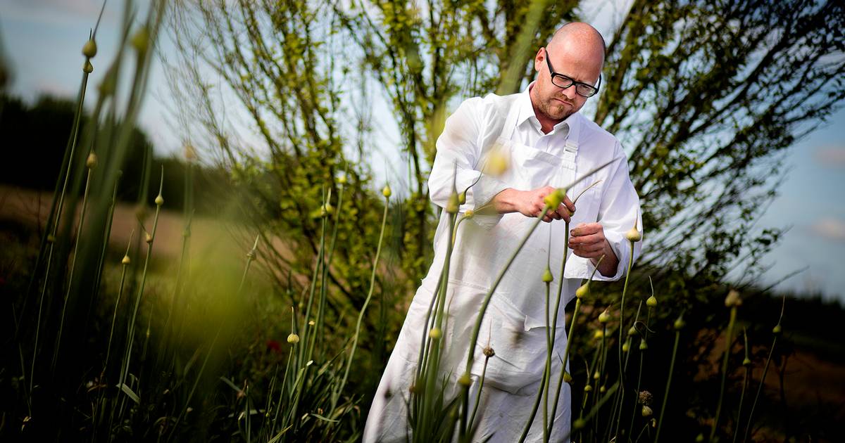 Får Papa Paul sin tredje stjerne nu? Mød manden, der førte ...