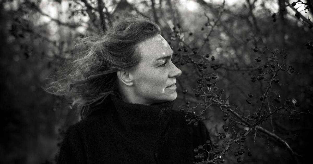 Tampen brænder i Hega Holsts ubehagelige skattejagt