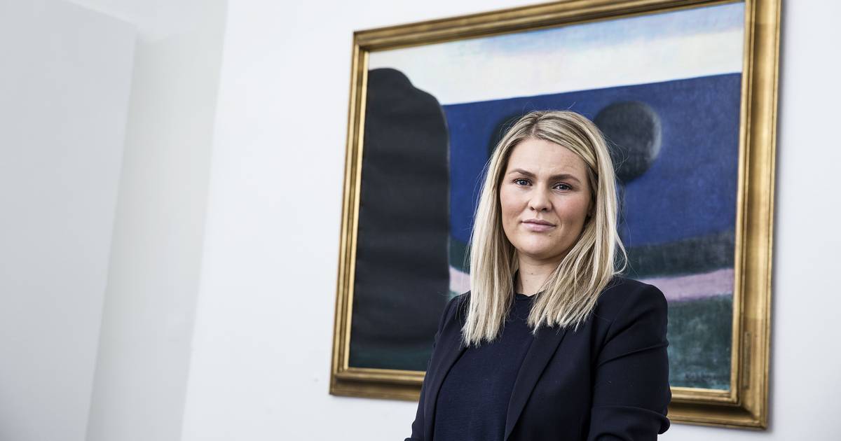 Liberal Alliance vil stoppe al tolkehjælp til udlændinge - Jyllands-Posten