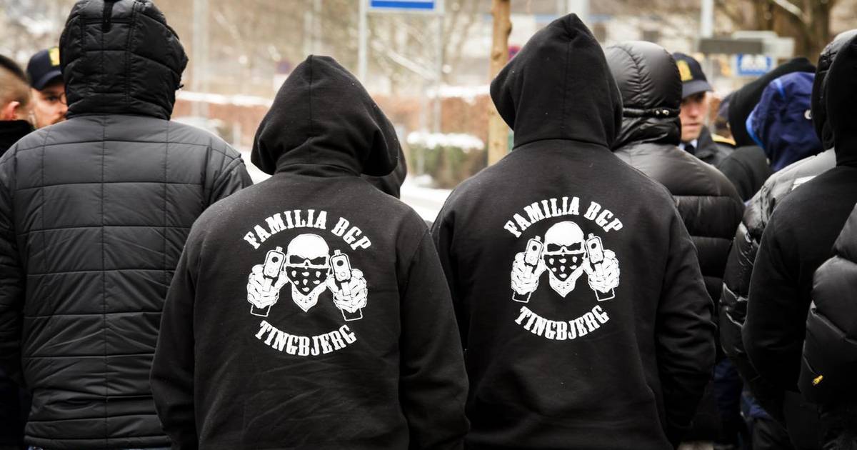 Flere bliver registreret som rockere og bandemedlemmer - Jyllands-Posten