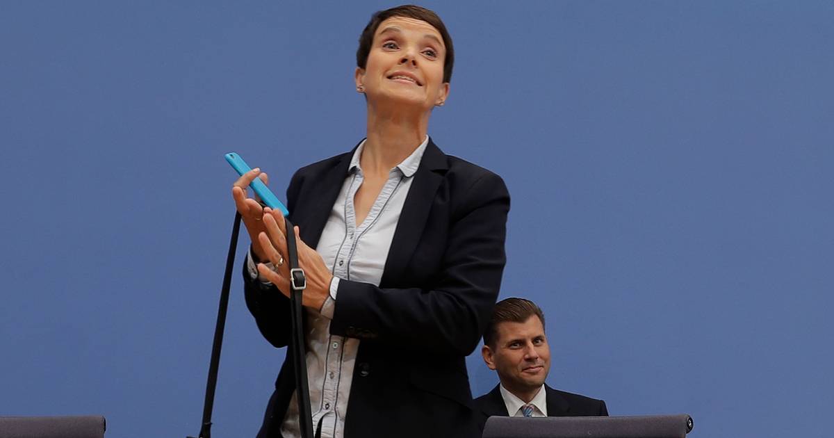Frauke Petry bekræfter farvel til AfD efter kanonvalg - Jyllands-Posten